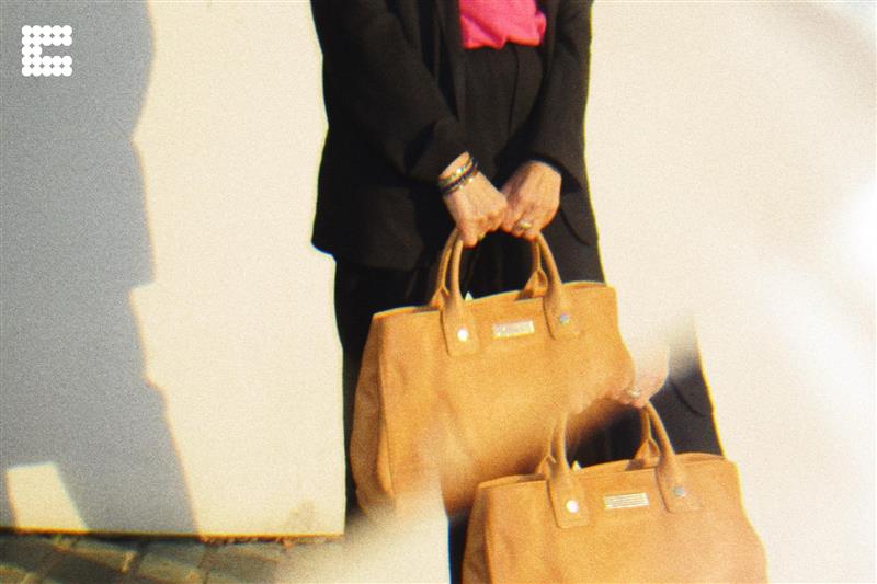 ALL BAGS – CLIO GOLDBRENNER